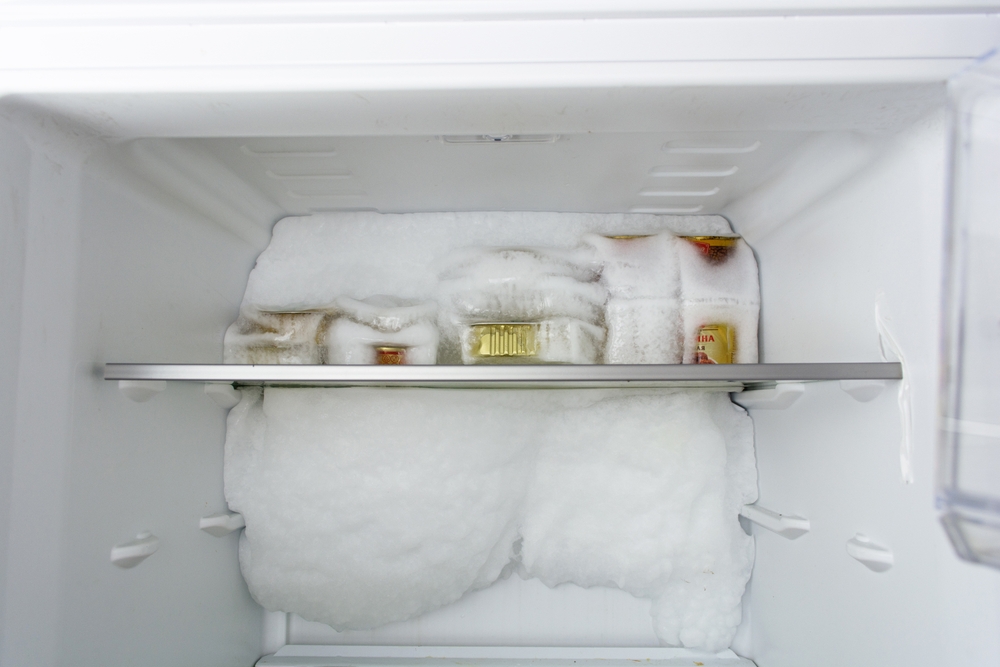 7 Common Refrigerator Problems and How to Fix Them | BestFix